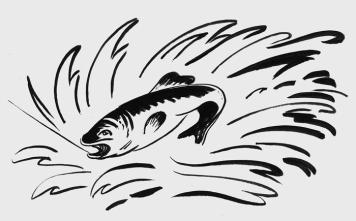 Vaughan Grayson: Adventures of an Artist in the Canadian Rockies