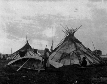 A Walk Through the Prairie Past - The History of the Living Prairie Museum