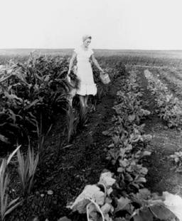 A Walk Through the Prairie Past - The History of the Living Prairie Museum