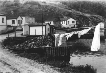 Growing Up in Rural Newfoundland: A Portrait of Childhood 1950 - 2009