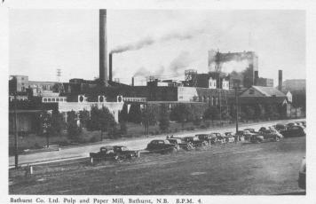 The Bathurst Pulp and Paper Industry -A Tale to Tell