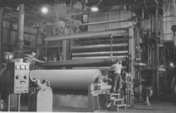 The Bathurst Pulp and Paper Industry -A Tale to Tell