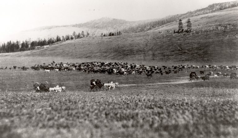 Travelling by Wagon, 1890s | Advance with Courage: Lord and Lady ...