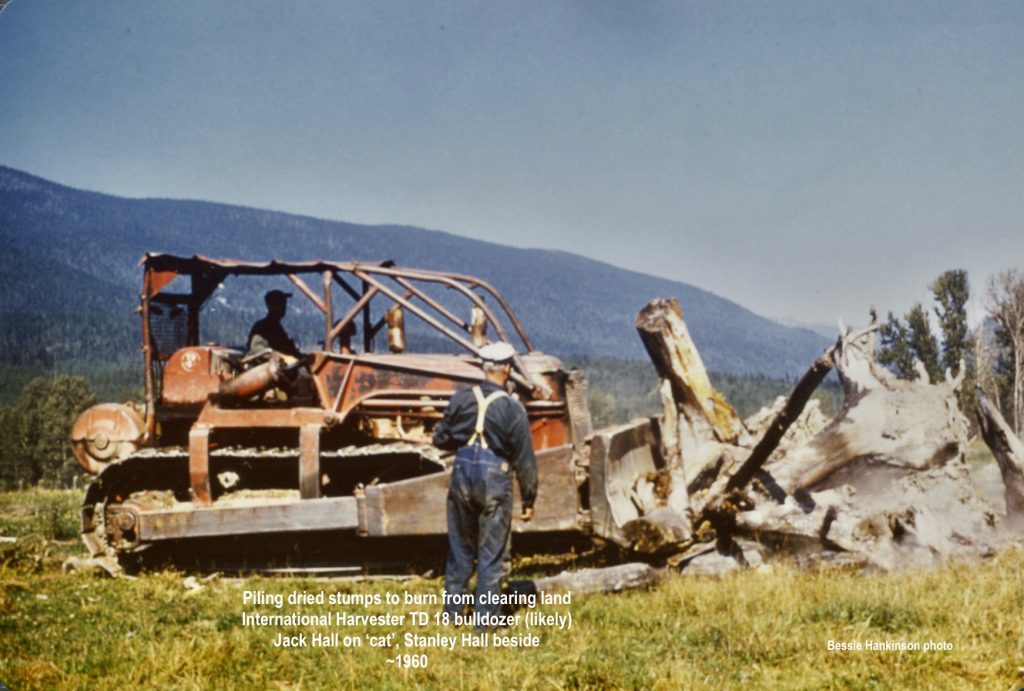 Stanley Hall and Jack Hall Piling Stumps to Burn, 1961 | Stories ...