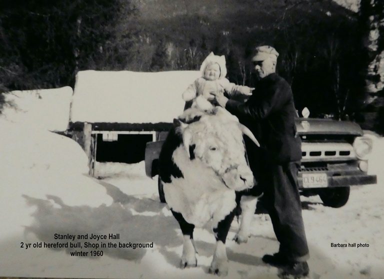 Stanley Hall and Daughter Joyce at Hall's Landing, 1960 | Stories ...